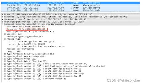 网络安全之ipsec Csdn博客