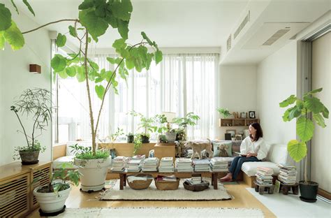 部屋 に 緑 を 飾る Connor Lee