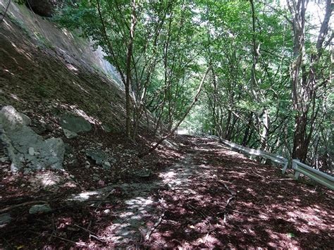 栃木県日光市福島県南会津町 国道121号山王峠旧道再訪その6 埼玉発 おとなの小探険