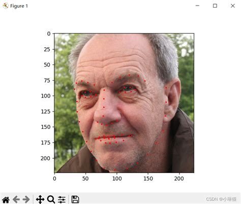 Pytorch入门 Csdn博客