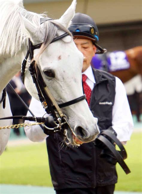 2月18日東京競馬⭐︎フェブラリーs⭐︎ガイアフォース 公式：黒澤ひかりのキラキラ日記～magic Kiss Lovers Only～