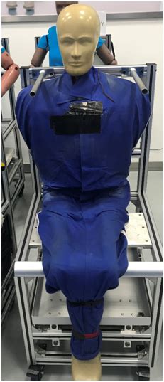 Tno 10假人 安全带实验用假人