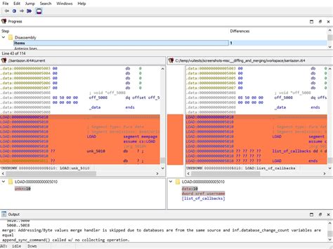 Hex Rays Vaults Visual Client User Manual Hex Rays Docs