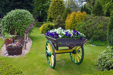 Pretty Flowers And Garden Free Stock Photo Public Domain Pictures