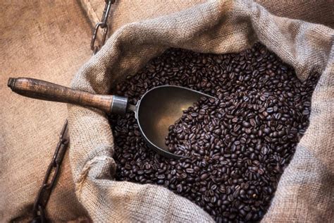 How To Recognize And Find Good Quality Coffee Beans Brew That Coffee