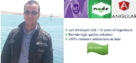 Develop Dotnet Nodejs Angular Blockchain Smart Contract By Shabangom Fiverr