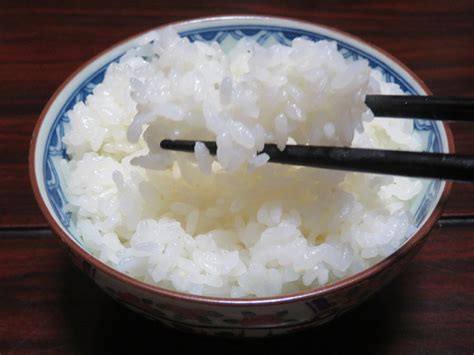 新米令和4年長野県産 風さやか 玄米9kg×3袋 27kg 美味しいお米 農家直送 送料無料 こだわりの美味しいお米を産地直送通販でお届け