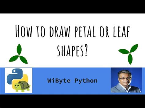How To Draw Shapes With Python