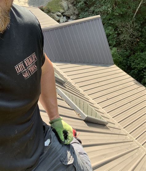 Wildlife Control Georgia Georgias Preferred Wildlife Removal Service