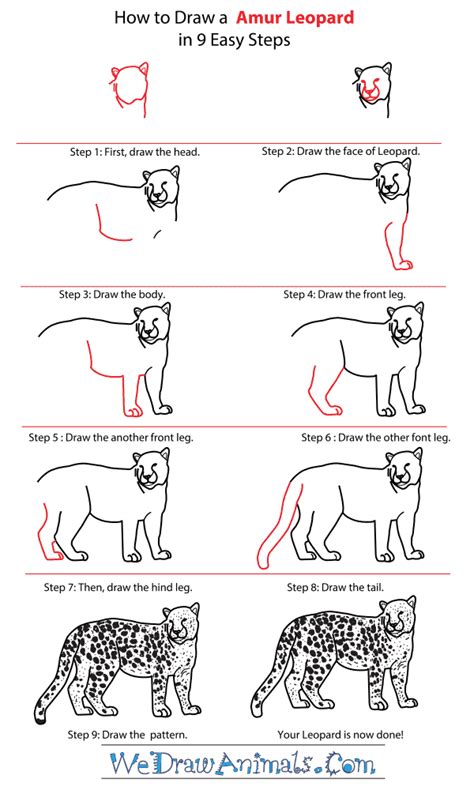 How To Draw A Lepord Printable