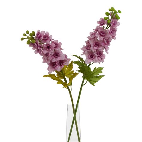 The Natural Garden Collection Purple Elatum Delphinium Wholesale By
