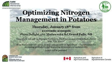 Optimizing Nitrogen Management In Potatoes 462 Madawaska Rd Grand