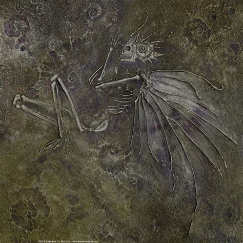 Fairy Fossil By Puimun On Deviantart