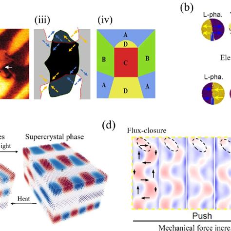 Modulation Of The Exotic Topological Structures A Electric Creation