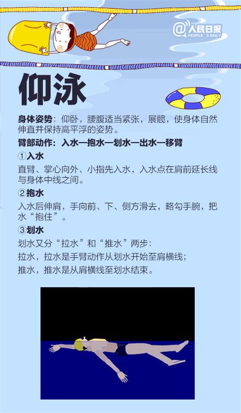 游泳有几种泳姿 游泳有哪些泳姿教程大全 旅泊网