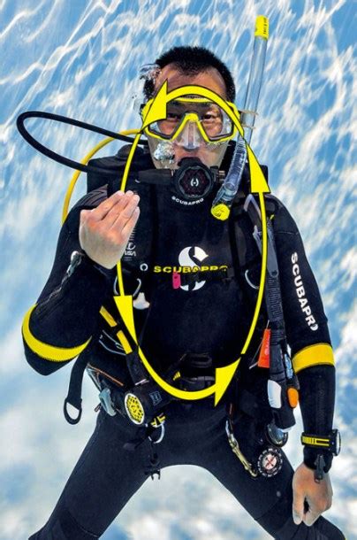 Have You Been On A Dive And Divers Alert Network