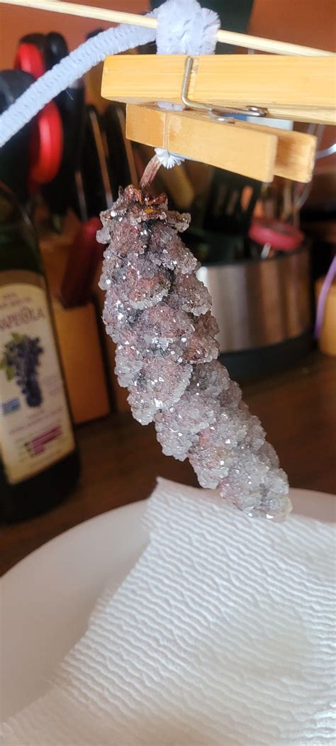 Borax Crystal Pinecones Diy Crystals Crystal Ornaments Diy