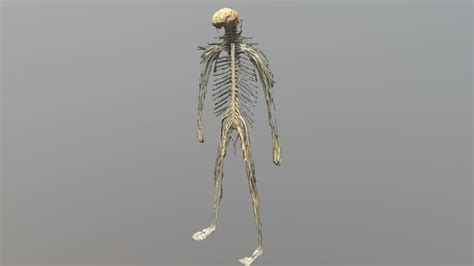 Nerf 3d Models Sketchfab