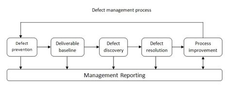 Software Defect Management Process Cleversolutions