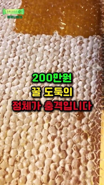 200만원 꿀 도둑의 정체가 충격입니다 Youtube
