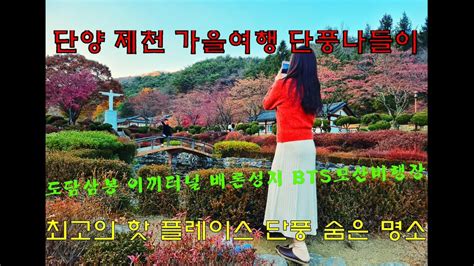 단양제천 당일치기 1박2일 여행 숨은 명소 핫플레이스 새로 생긴 명소 잔도길 만천하 스카이월드 전망대 단풍나들이 단풍명소 단양숨은명소 제천 단풍명소 Youtube