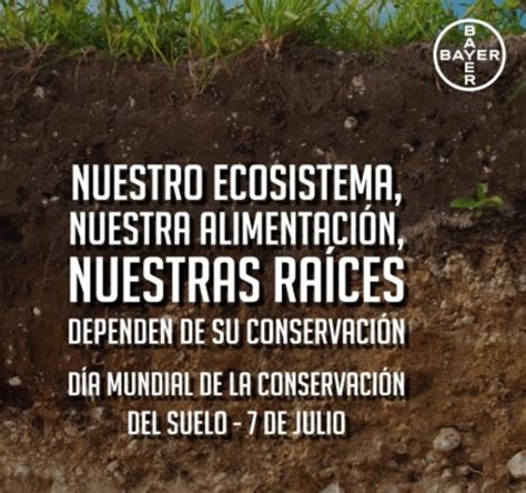 7 De Julio Día Mundial De La Conservación Del Suelo Conservando El