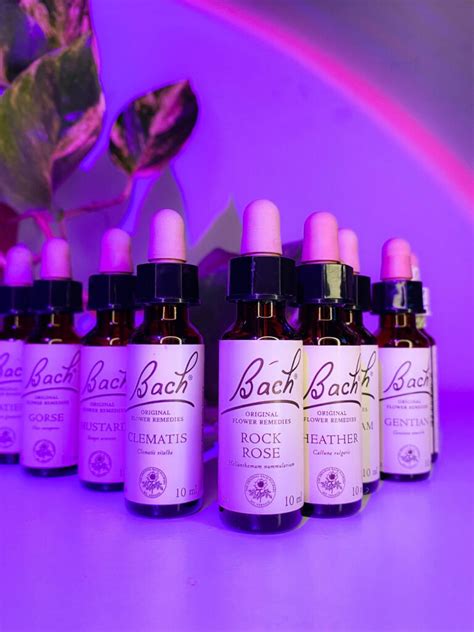 5 Beneficios Para Usar Las Flores De Bach Para Equilibrar Las Emociones