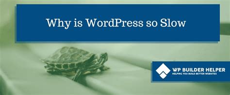 Why Is Wordpress So Slow Wp Builder Helper