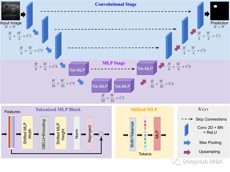 人工智能 Unext：基于 Mlp 的快速医学图像分割网络 Deephub Segmentfault 思否