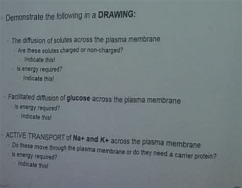 Solved Demonstrate The Following In A Drawing The Diffusion Chegg