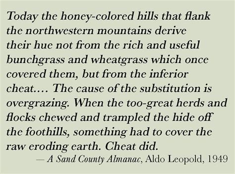 Cheatgrass Forest Service Employees For Environmental Ethics