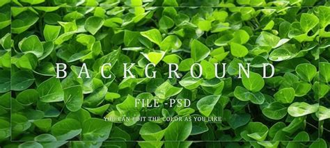 Premium PSD Green Leaves Natural Green Leaf Plants