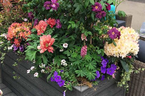 Chelsea Flower Show Decking Case Study EnviroBuild