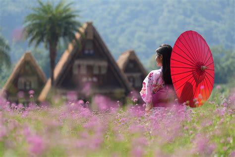 ไร่มณีศร ทุ่งทานตะวัน ไร่มณีศร ทุ่งทานตะวัน เขาใหญ่