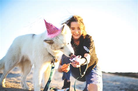 활기찬 십 대 여자 탐험 콜로라도 야외에서 허스키 강아지와 함께 생일 파티 야생 시리즈 Z세대에 대한 스톡 사진 및 기타 이미지
