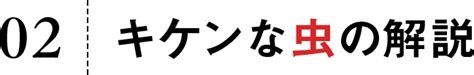 トビズムカデ キケンな虫の虫ケア図鑑 アース製薬