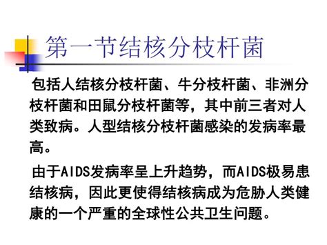 Ppt 第十三章分枝杆菌属 Powerpoint Presentation Free Download Id3678518