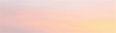 Automation Pathfinder Program Scale Your Robotic Process Automation Program Automation Anywhere