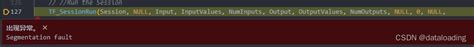 【vscode】报错：出现段错误解决办法 Segmentation Faultvscode Segmentation Fault Csdn博客