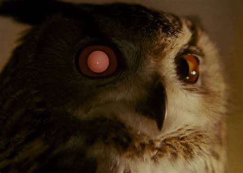 The Secrets Behind The Eyes Of ‘blade Runner