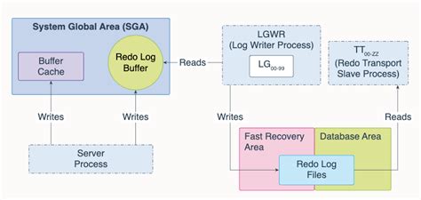 Whats New In Oracle 19c And How Does Its Architecture Work