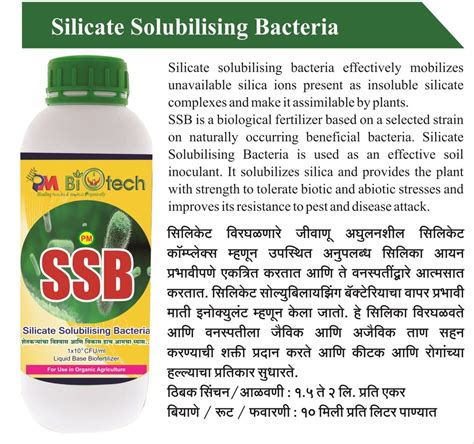 Phosphate Solubilizing Bacteria In Pune फॉस्फेट सोल्यूबिलाइजिंग बैक्टीरिया पुणे Maharashtra