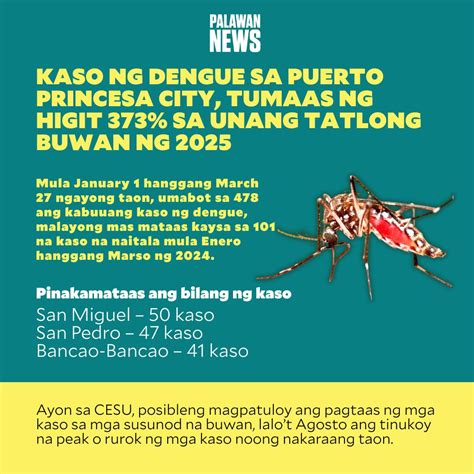 Palawan News - KASO NG DENGUE SA PUERTO PRINCESA CITY,... | Facebook