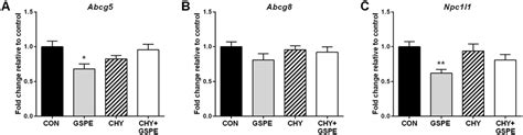 GSPE Decreases The Expression Of Intestinal Apical Cholesterol