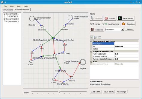 µcell Cell Model Editor Editing An Imported Sbml Model Download