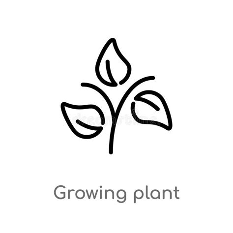 Icono Cada Vez Mayor Del Vector De La Planta Del Esquema L Nea Simple