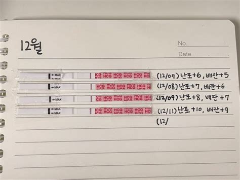 다낭성 임신준비 배란 9일차~ 12일차 임테기 반응 난포터지는 주사 반응 네이버 블로그