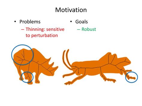 PPT A Simple And Robust Thinning Algorithm On Cell Complexes