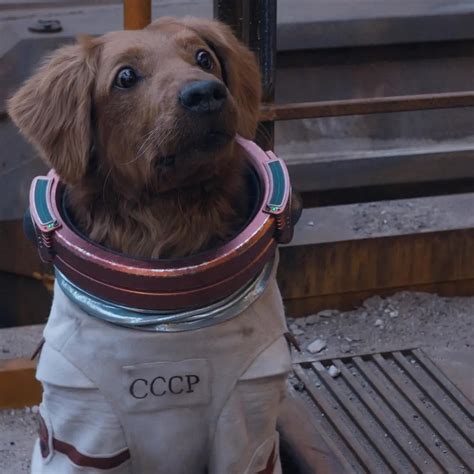 刚看完银河护卫队三看到总辖了 178