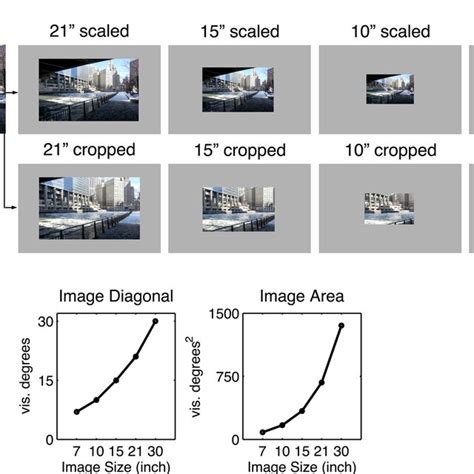 A Example Of An Urban Image Differing In Size Scaled Upper Row